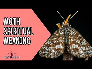 Moth Spiritual Meaning