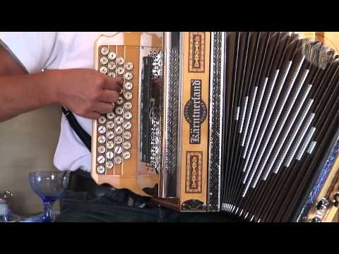 Weiße Rosen aus Athen HD