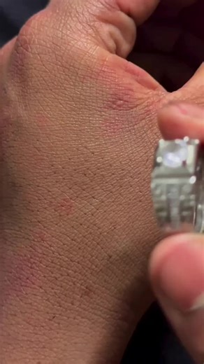 Exciting Travel Adventures Across the USA