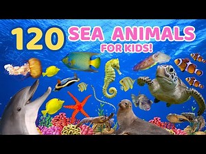 WOW! Learn 120 Sea Creatures for Kids! 🐙 Fun Ocean Learning for Toddlers & Preschoolers