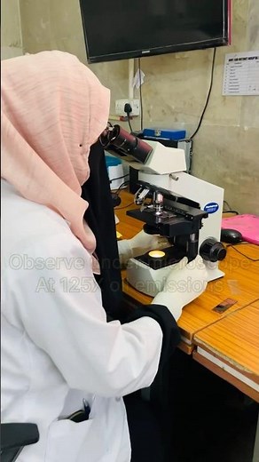 Peripheral Blood Smear Examination #PBF # Microscopy # Pathology # DMLT # BMLT # MLT STUDY