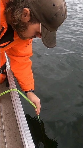 Measuring water quality and clarity with a Secchi Disk
