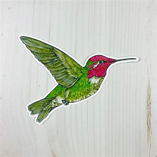 Anna's Hummingbird Matte Vinyl Sticker - Etsy