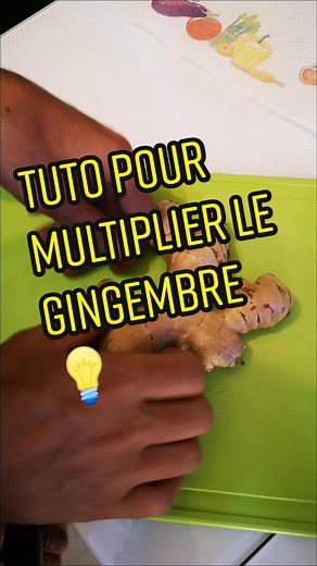 Comment multiplier le gingembre facilement chez vous ?