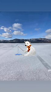 2K views · 15 reactions | Bitterroot Lake is well-suited for the fishing derby this weekend. | Hilltop Hitching Post | Facebook