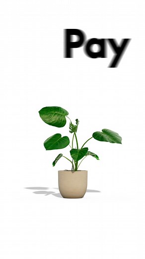 Restyle your space. Pay in 4 and embrace a bold new look. | PayPal