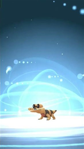 Evolution of Krokorok from Sandile #pokemongo #pokemon #viral #trending #shorts #shortsfeed