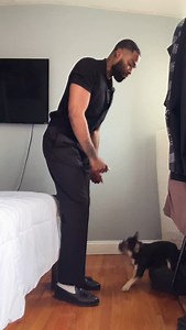 1.3K views · 270 reactions | Sundays we dance.. PS why does my Frenchie have more personality than me. •#frenchbulldoglife •#dogdad #nycpets #frenchie #fypage | Khalid Mosley | Facebook