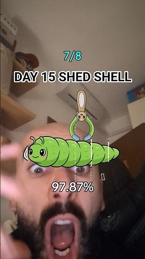 day 15 help shed shell challenge