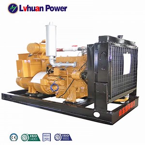 [Hot Item] 30kw Living Garbage Power Generation Biogas Generator