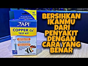 API COPPER TEST KIT | CEPAT, MUDAH DAN AKURAT