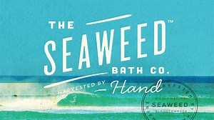 Seaweed Bath co | Retail Store Design - Varruna Mitra Vijaya Kumar