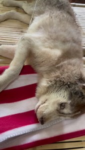 41K views · 4.9K reactions | Thank you Papa God❤️ Baby Chance, made...