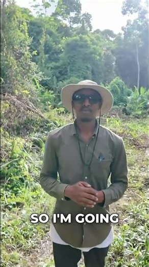 McDonald’s vs. my message: free vs. poison