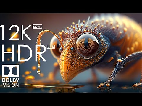 Incredible Beauty of 12K HDR 240fps Dolby Vision
