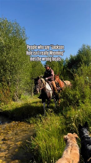 Jackson has changed, but old traditions die hard. Packing mules into the backcountry for pack trips or hunting trips is something that many people still do, you just have to find us! Yesterday we sent out the first trip of kids camp with TVRC. These kids get to experience a true back country trip by riding 12 miles into camp, packing all their gear on mules, and enjoying the sights and sounds of places many people don’t ever get to see. So the next time your headed to Jackson Hole, make sure to 