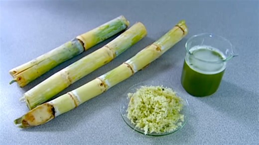 How Sugar Cane Is Turned Into Processed Sugar