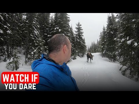 6 FOREST Encounters That Will Make You AFRAID Of It