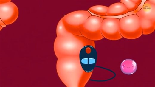 퐌퐄퐍퐆퐄퐍퐀퐋 퐏퐄퐑퐉퐀퐋퐀퐍퐀퐍 퐌퐀퐊퐀퐍퐀퐍 퐃퐀퐑퐈 퐌퐔퐋퐔퐓 퐇퐈퐍퐆퐆퐀 퐀퐊퐇퐈퐑 퐏퐄퐌퐑퐎퐒퐄퐒퐀퐍. 퐄퐝퐮퐤퐚퐭퐢퐟 퐮퐧퐭퐮퐤 퐛퐨퐜퐢퐥. | Promunitty | Facebook