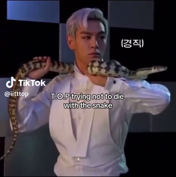 T.O.P Challenges with Snakes and G-Dragon's Support