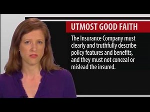 3 Legal Concepts of the Insurance Contract