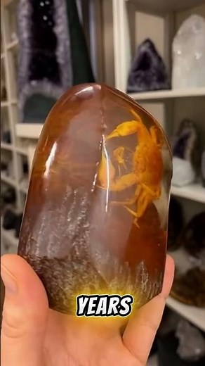 Nature Made This Golden Mineral… Calcite & Pyrite ✨#shorts