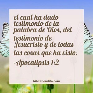 Explicación Apocalipsis 1:2. 'el cual ha dado testimonio de la palabra de Dios, del testimonio de Jesucristo y de todas las cosas que ha visto.' - BibliaBendita
