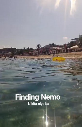 Finding nemo #swimming #findingnemo @highlight | Rosaneth Legpitan Edep
