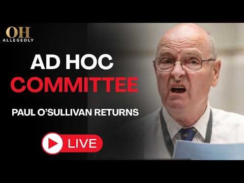 “That’s Your Modus Operandi!” MPs Clash With Paul O’Sullivan in Tense Parliament Hearing