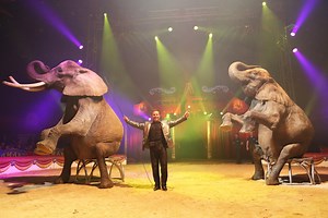 A Dieppe, laissez-vous enchanter par le cirque Amar