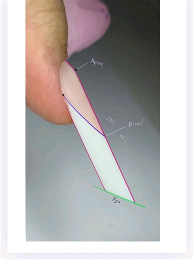 ESTRUCTURA MANDORLA ✨ Desde los lineamientos y medidas hasta la construcción final en acrílico y polygel. Todo encaja cuando respetas la estructura 💅📐 #uñas #cursouñas #parati #mandorla #nails