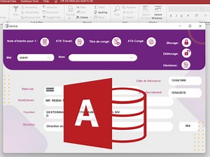 Professional MS Access App Development: Custom Solutions