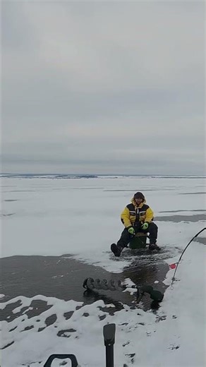 Zander in the water column! Active Target in winter