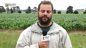 1K views · 41 reactions | SKILLS DEVELOPMENT DAWNS IN UMZIMVELO...