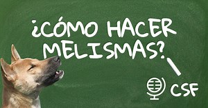 Melismas en el canto: guía para desarrollar esta técnica vocal