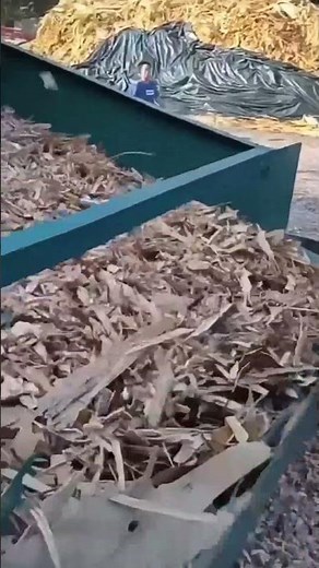 Drum vs Disc Wood Chipper: What’s the Best Choice? #IndustrialShredder #RenewableResources