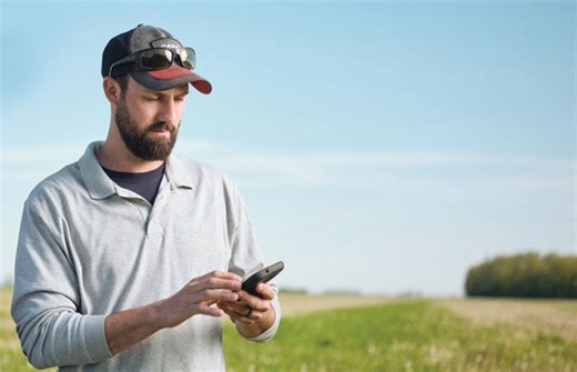 Εξομάλυνση ζήτησης για τα eco-schemes με 4 τρόπους για το έτος 2024