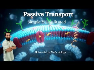 Passive transport - Simple & Facilitated | Types | Components & function #diffusion