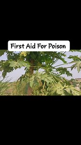 First Aid For Poison | Uses Of Herbal Medicines