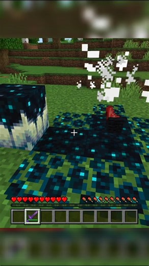 Worden Dark Secret In Minecraft
