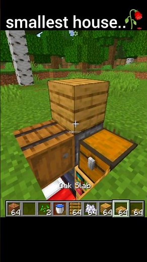 The Mincrathacjs Saga: A Minecraft Mystery Unraveled