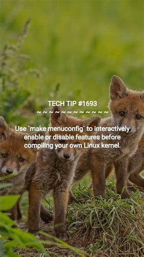 Build a Custom Linux Kernel! | 2025-12-12 | #Shorts #webdevelopmenttips #systemadmintips