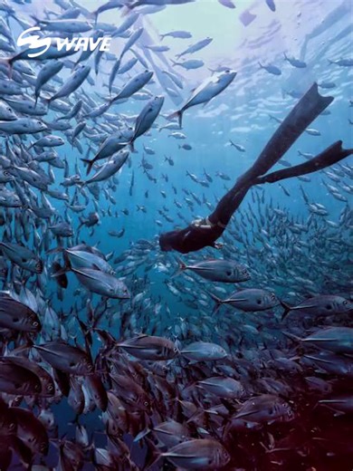 WAVE New Design Professional Long Fins Freedivng Performance Dive Fin Flippers Freediving Fins