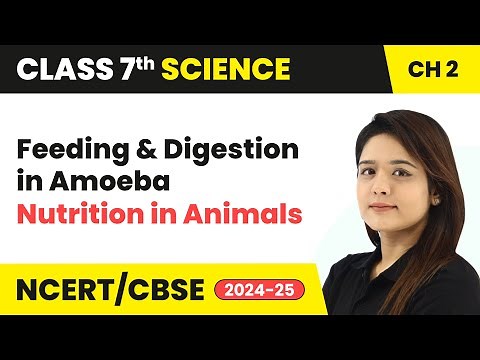Feeding and Digestion in Amoeba - Nutrition in Animals | Class 7 Science Chapter 2 | CBSE 2024-25