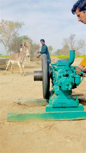 🫏 🫏 🫏4 Million Views 😳 Wild Donkey Chase & Engine Start Test 🫏🫏