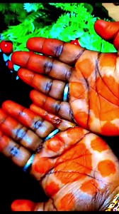 529K views · 4.2K reactions | இந்த கிறிஸ்துமஸ்க்கு இப்படி மருதாணி போடுங்க #shortsyoutube #shortstrendingviralvideo #Christmas #christmascakes2023 #tamilshorts | Test and taste kitchen tamil | Facebook