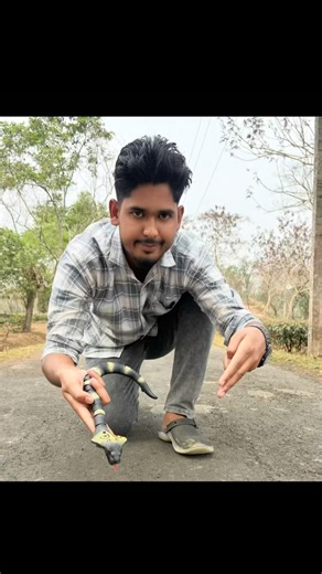 remote control plastic snake unboxing #short