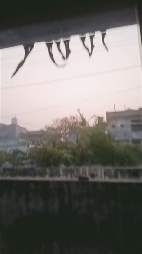 #villagevlog #naturelovers #🌞🌄 #viral #trending #natural #minivlog #vlog #shots #daily life blog