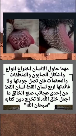 مهما حاول الانسان اختراع انواع واشكال الصابون والمنظفات #اكسبلور #أفكار_يومية #viralshort #video "