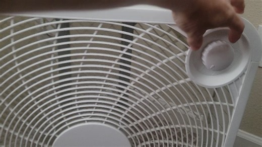 Watch Honest Review of Pelonis Box Fan on Amazon Live